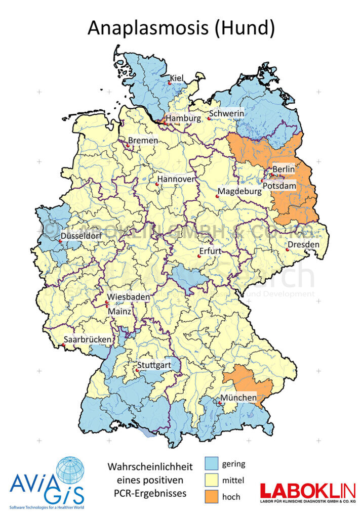 Erregersteckbrief: Anaplasma phagocytophilum